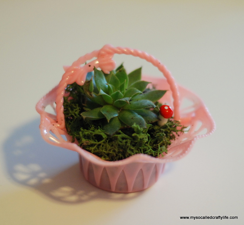 vintage plastic mini nut cups